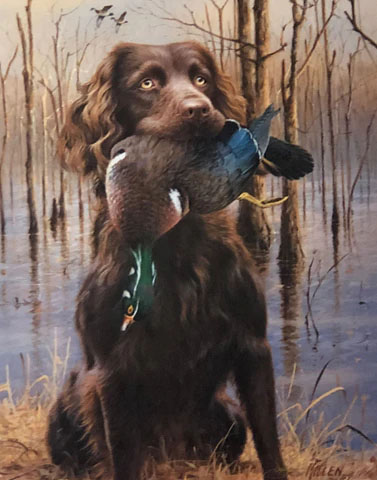 James Killen Print-Signed and Numbered:"Top Dog Boykin Wood Duck Art ...