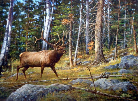 James Killen Print-Signed:"Deep Woods Monarch-Elk-Signed" - James Killen