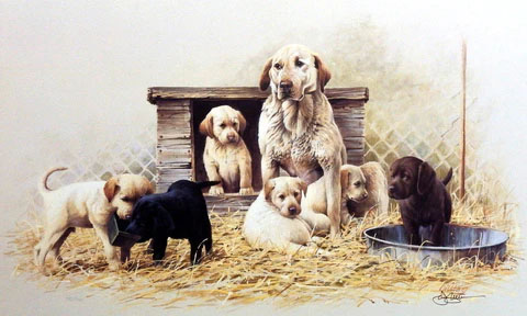 James Killen Print-Signed:"Litter Daze" - James Killen