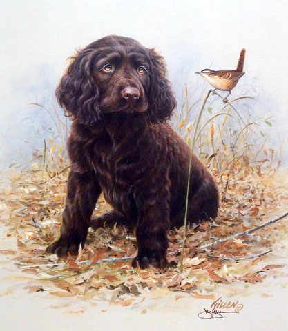 James Killen Print-Signed:"Pride and Joy Boykin Spaniel-Signed" - James ...