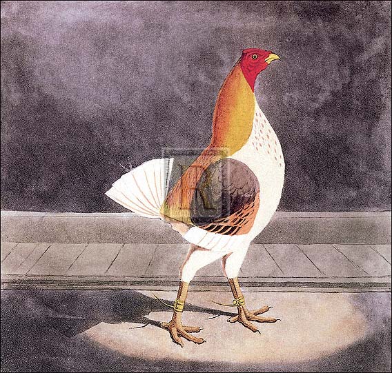 James Pollard Artist Hand Colored Copper Plate Printed Atelier Print ...