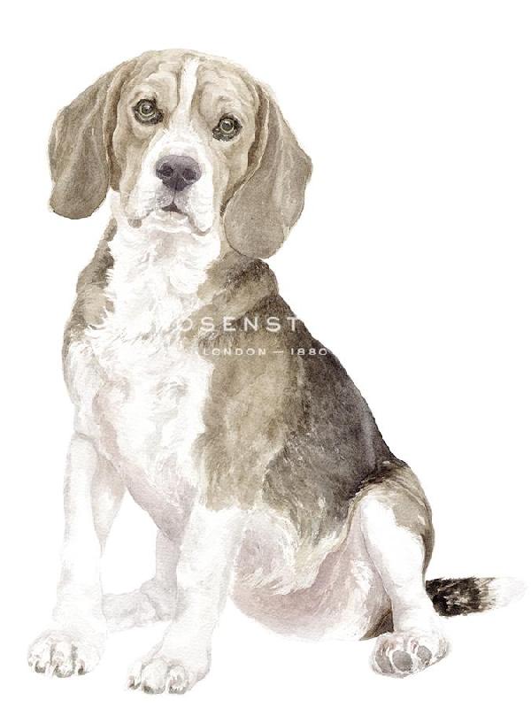 Janie Howe 30 x 40 in. Open Giclee Canvas:"Barney The Beagle" - Janie Howe