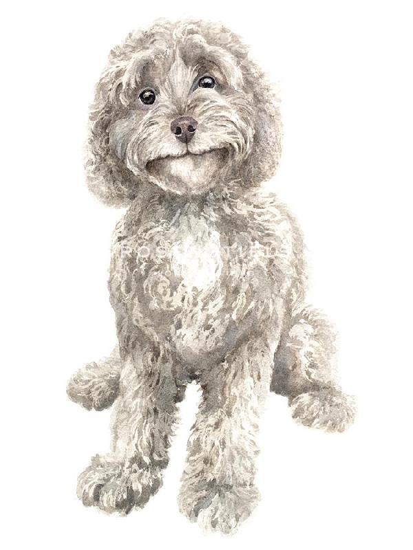 Janie Howe 30 x 40 in. Open Giclee Canvas:"Coco The Cockapoo" - Janie Howe