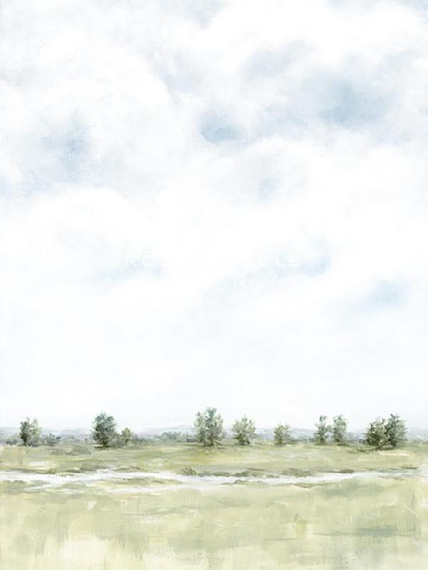Janie Howe 30 x 40 in. Open Giclee Canvas:"Distant VIew - Topography ...