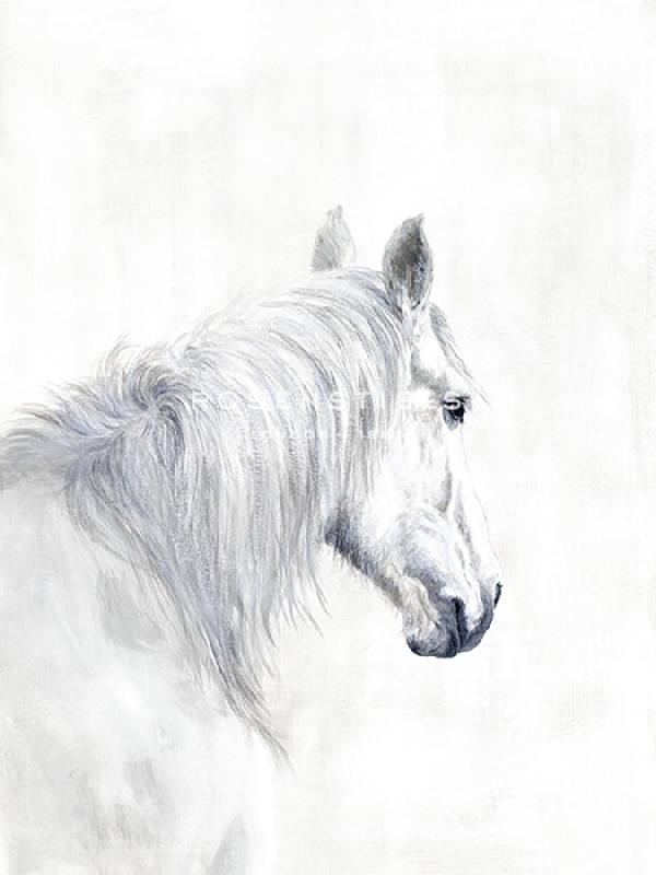 Janie Howe 30 x 40 in. Open Giclee Canvas:"Equine Profile" - Janie Howe