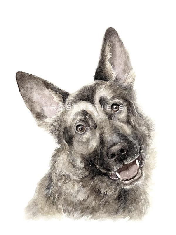Janie Howe 30 x 40 in. Open Giclee Canvas:"Gunter The German Shepherd ...