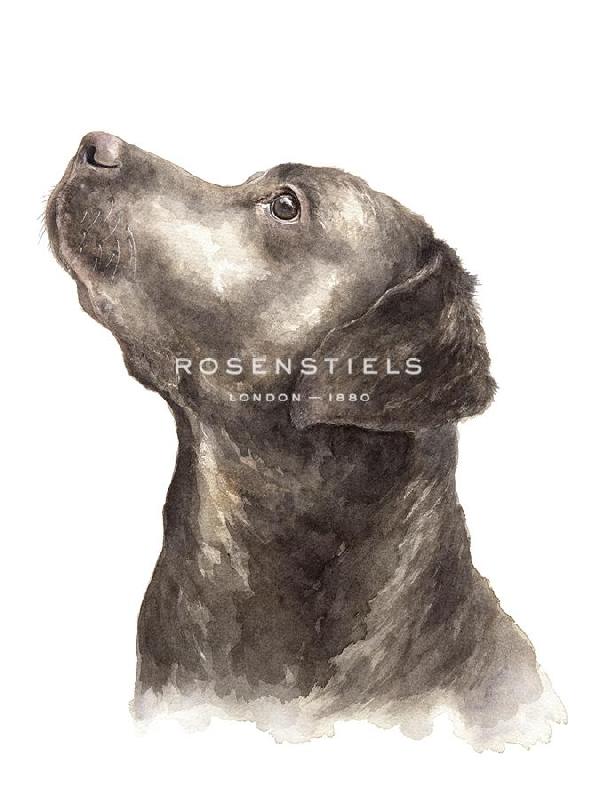 Janie Howe 30 x 40 in. Open Giclee Canvas:"Layla The Labrador" - Janie Howe