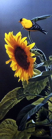 Jerry Gadamus Print-Signed and Numbered:"Sunshine" - Jerry Gadamus