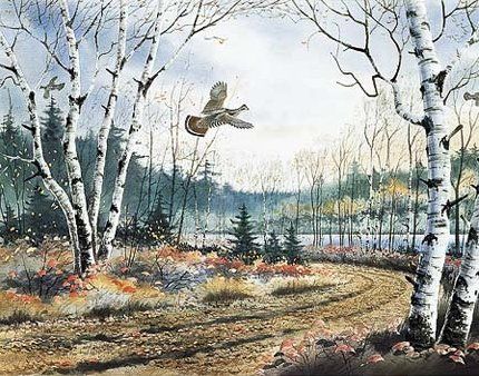Jerry Raedeke Handsigned and Numbered Limited Edition Print:"Birch ...