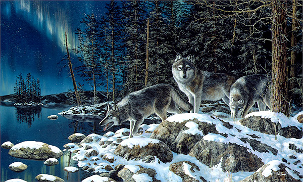 Jim Hansel Hand Signed and Numbered Limited Edition Canvas: "Night ...