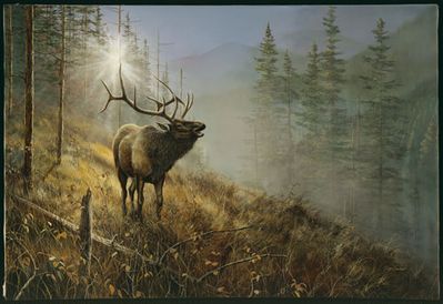 Jim Hansel Hand Signed and Numbered Limited Edition Canvas: "Song in ...