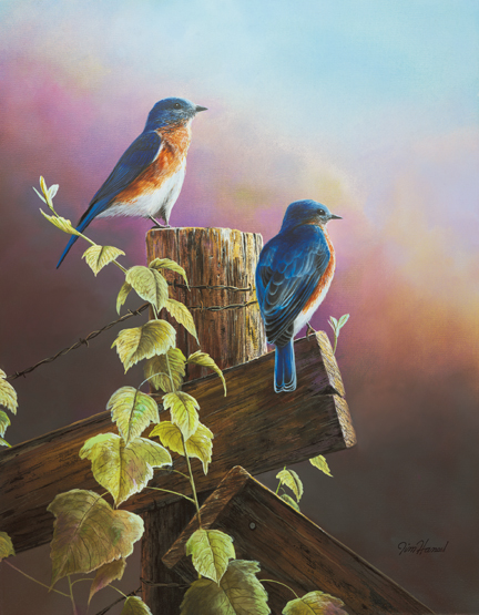 Jim Hansel Hand Signed and Numbered Limited Edition Canvas: "Touch of ...