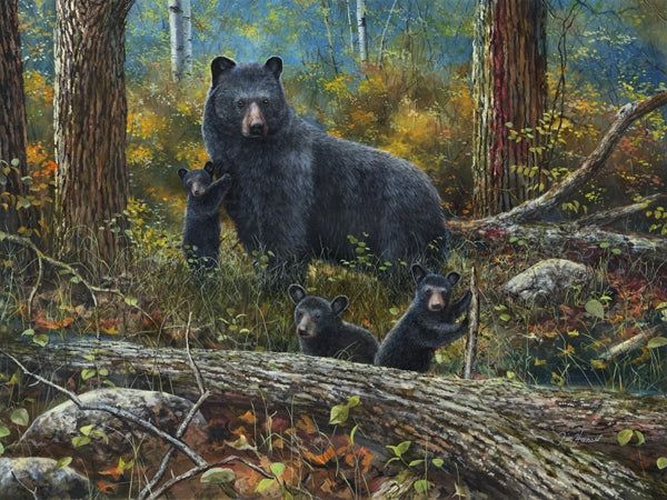 Jim Hansel Hand Signed and Numbered Limited Edition Canvas:"Age Of ...