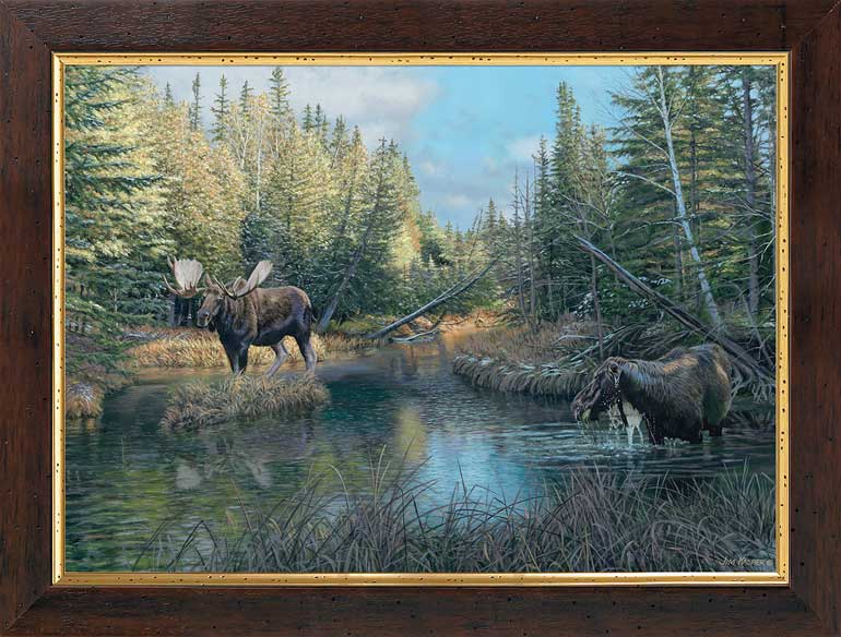 Jim Kasper Open Edition Framed Canvas:"Caldwell Creek Bull-Moose ...