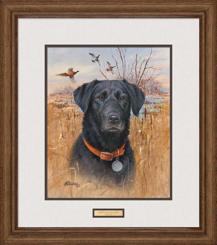 Jim Killen Artist Hand Signed Framed Print:"Top Dog - Black Lab" - Wild ...