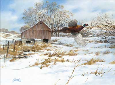 Jim Killen Artist Remarque Limited Edition Print:"Pheasant Country ...
