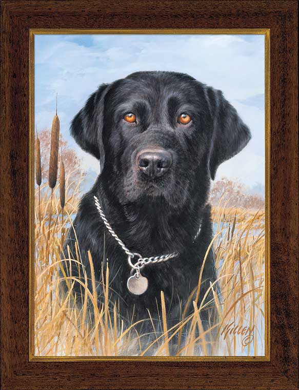 Jim Killen Open Edition Canvas: "Black Lab" - Wild Wings New Releases