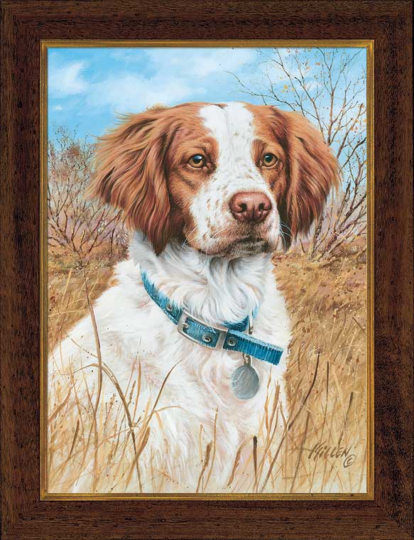 Jim Killen Open Edition Canvas:: "Brittany Dog" - Wild Wings New Releases