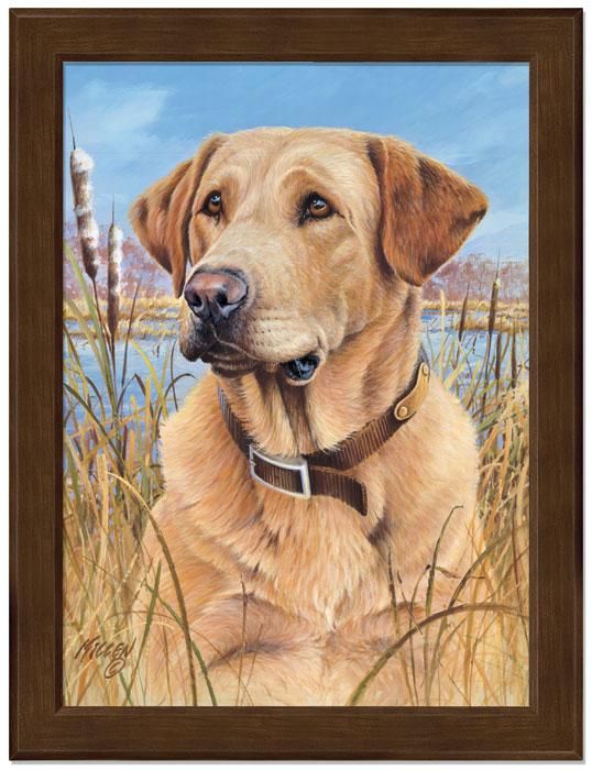 Jim Killen Open Edition Canvas: "Yellow Lab" - Wild Wings New Releases