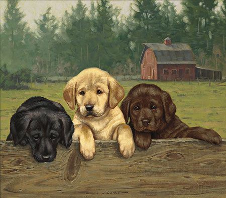 Jim Lamb Limited Edition Artist Proof Print:"Lookin' For Action" - Jim Lamb