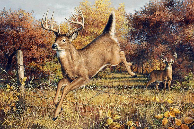Joe Hautman Artist Signed and Numbered Limited Edition Canvas Giclee ...