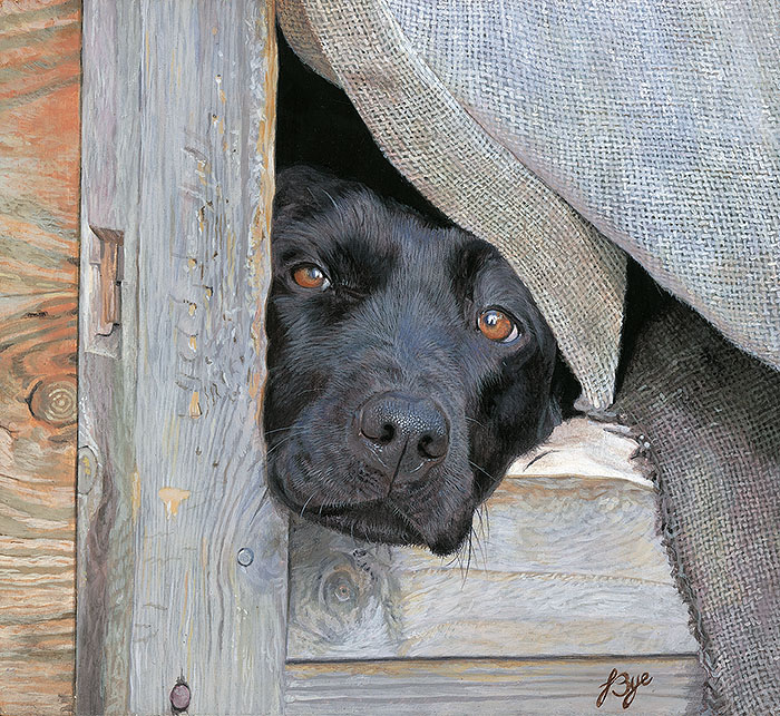 John Bye Open Edition Giclée Canvas:"Let Me Out" - John Bye