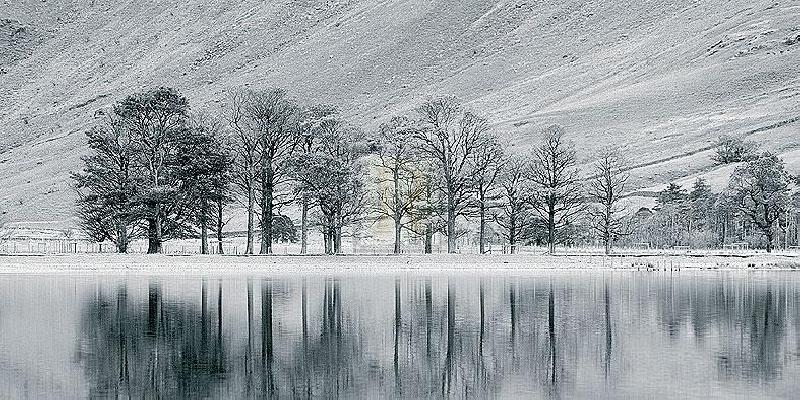 John Harper 48 x 24 in. Open Giclee on Canvas:"Mountain Lake With Tree ...