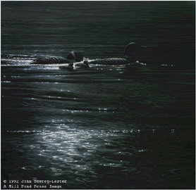 John Seerey - Lester Limited Edition Print:"Loonlight" - John Seerey-Lester