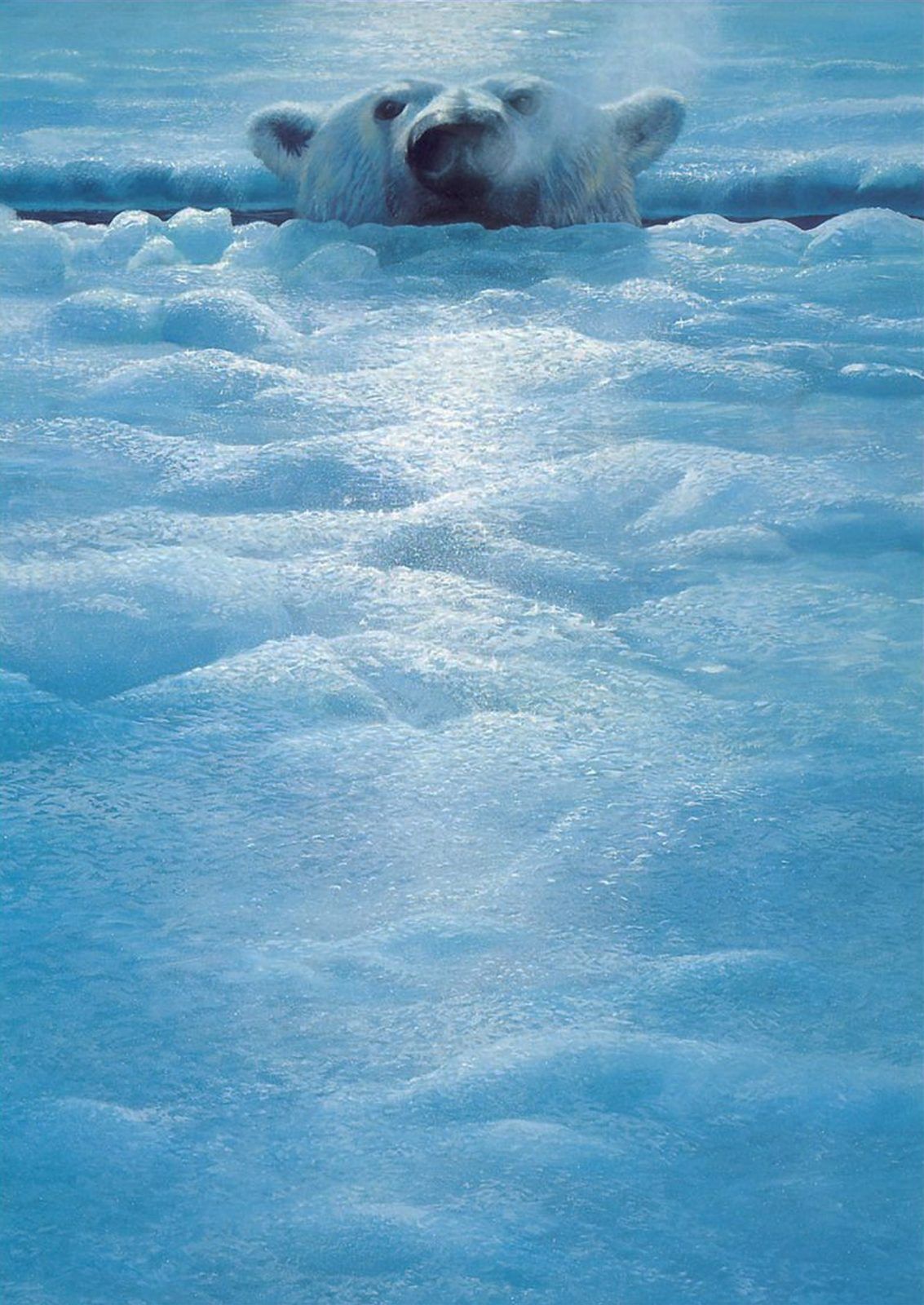 John Seerey-Lester 40″ x 50″ Renaissance Giclee Canvas:"Polar Lookout ...