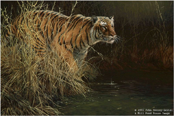 John Seerey - Lester Limited Edition Print:"Something Stirred (Bengal ...