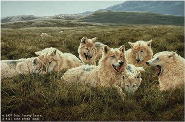 John Seerey - Lester Limited Edition Print:"Tundra Family - Arctic ...