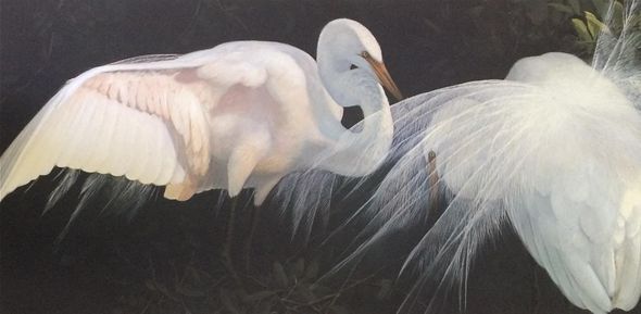 John Seerey-Lester Signed by the Artist Limited Edition Paper ...