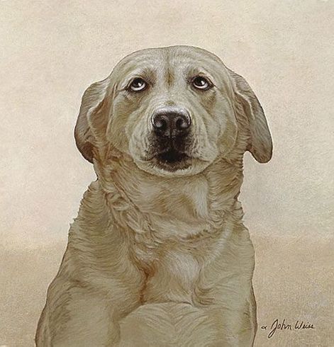 John Weiss Artist Signed Limiyed Edition Print:"I Didn't Do It" - John ...