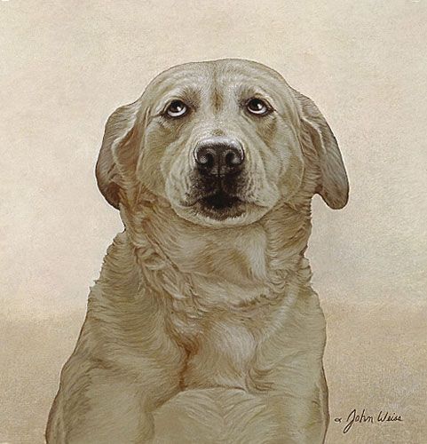 John Weiss Artist Signed Limiyed Edition Print:"I Didn't Do It" - John ...