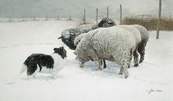 John Weiss Limited Edition Print: "Wake Up Call" - John Weiss