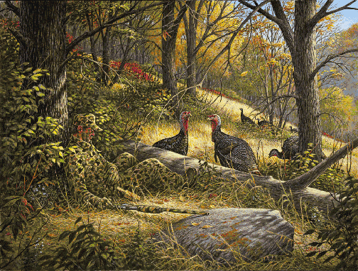 John Wilson Hand Signed & Number Limited Edition Print:"You Snooze, You ...