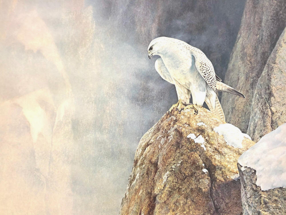 Jorge Mayol Signed by the Artist Limited Edition Paper Lithograph ...