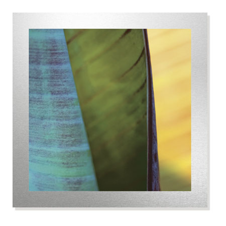 Joy Doherty Limited Edition Ready to Hang Giclee on Brushed Aluminum ...