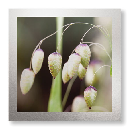 Joy Doherty Limited Edition Ready to Hang Giclee on Brushed Aluminum ...