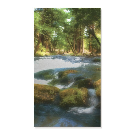Joy Doherty Limited Edition Ready to Hang Giclee on: "Serenity Stream ...