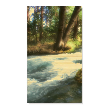 Joy Doherty Limited Edition Ready to Hang Giclee on Sustainable Bamboo ...