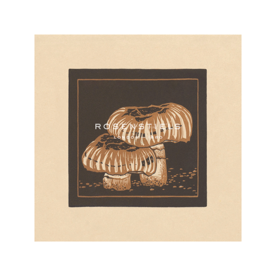 Julie de Graag Hand Numbered Limited Edition Print on Paper :"Funghi ...