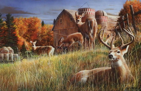 Kevin Daniel Print-Signed and Numbered:"Autumn Respite S/N AP Deer Buck ...
