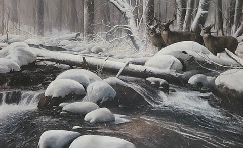Kevin Daniel Print-Signed and Numbered:"Winter Silence Deer S/N Art ...