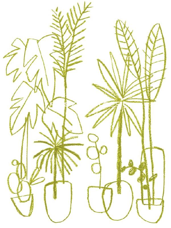 Kristine Hegre 30 x 40 in. Open Giclee Canvas:"Naive Plants - Grow ...