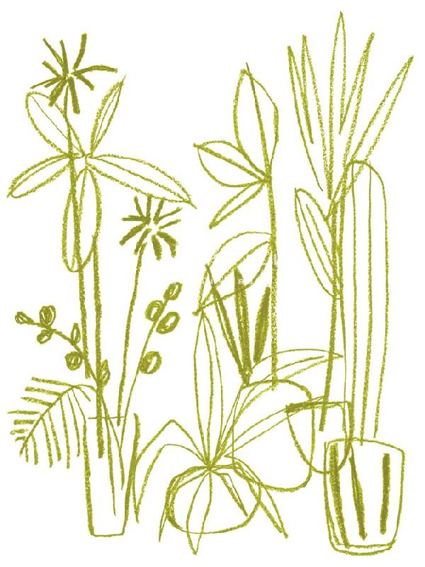 Kristine Hegre 30 x 40 in. Open Giclee Canvas:"Naive Plants - Thrive ...