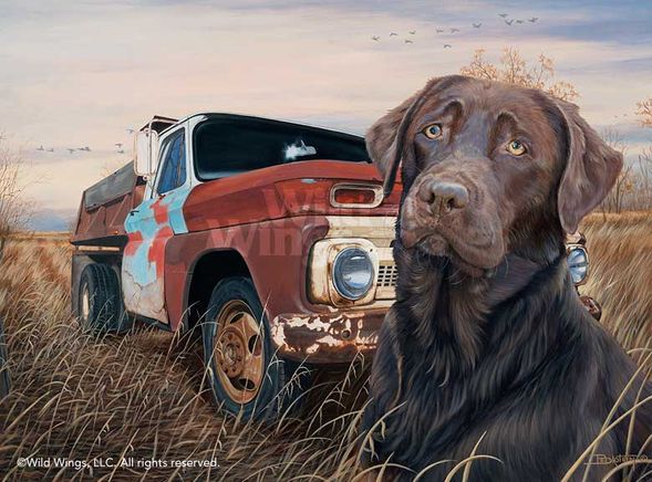 Larry Beckstein Open Edition Framed Print: "Old Faithful-Lab & Chevy ...