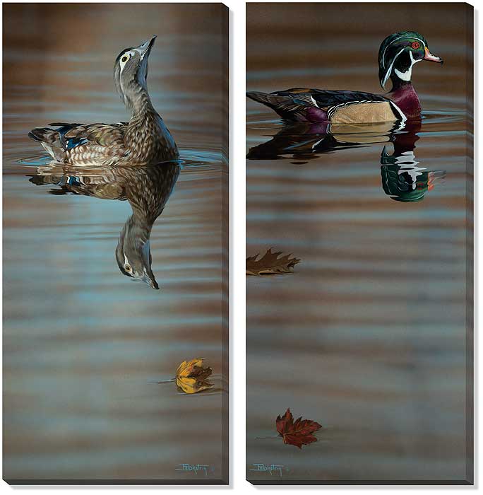 Larry Beckstein Open Edition Gallery Wrap Canvas: "Autumn Woodies ...