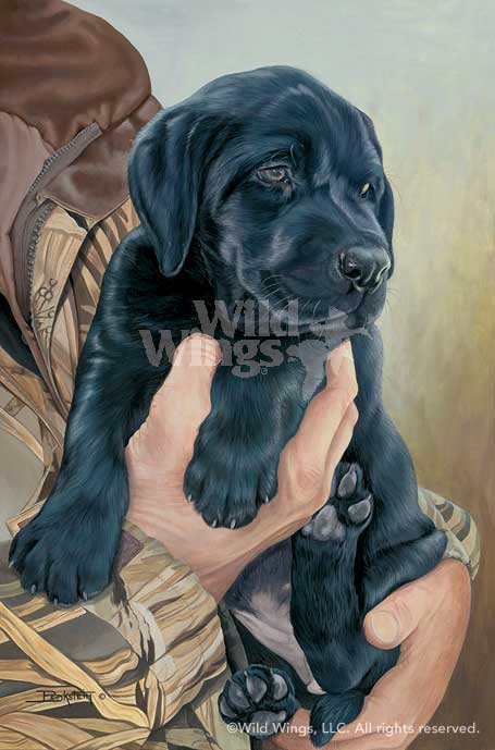Black Lab Paintings