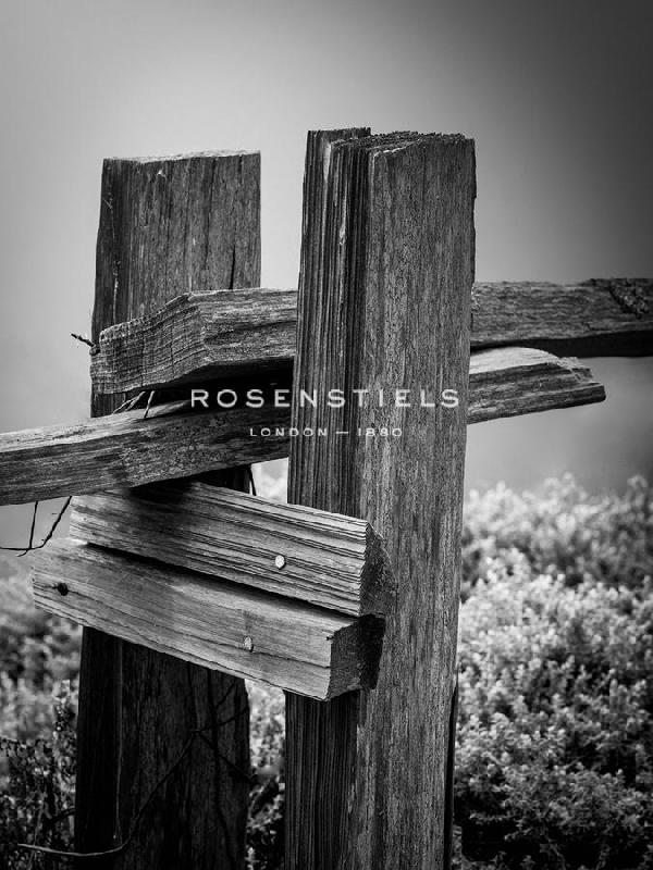 Laura Warren 30 x 40 in. Open Giclee Canvas:"Fenced In" - Laura Warren